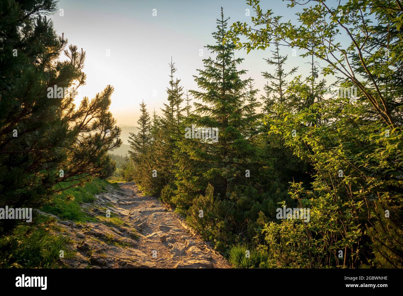 Tourist trail through Boczan at sunset Stock Photo - Alamy