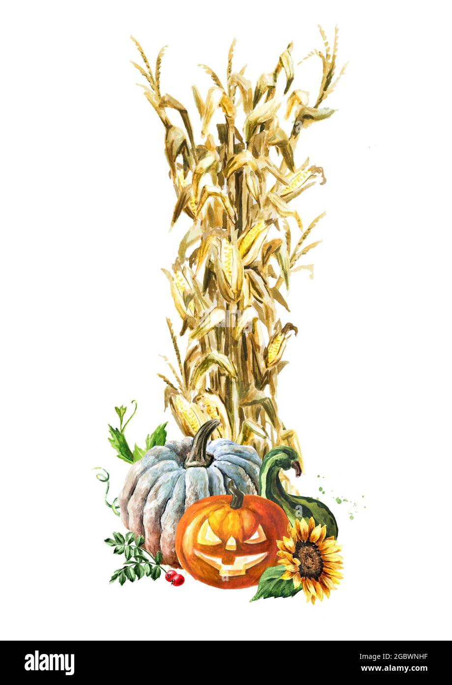 Corn Stalk Bundle Clipart