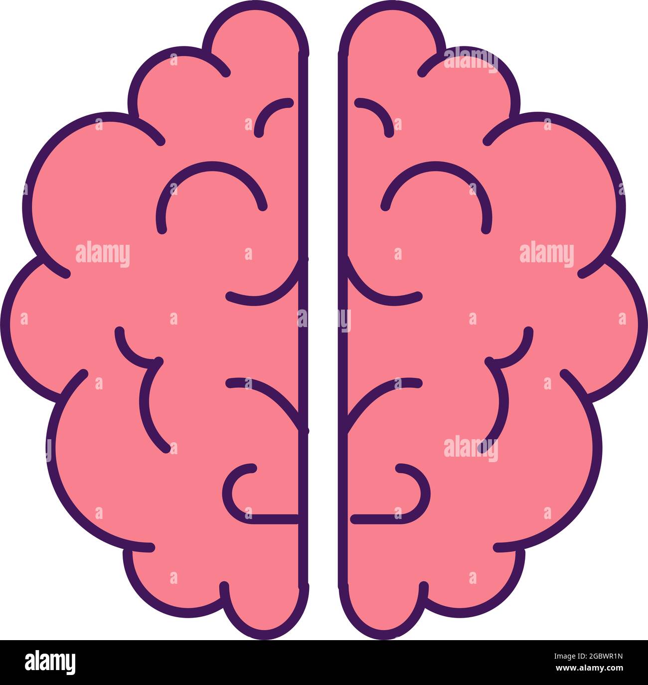 Brain vector, psychology icon, human neuro diagram Stock Vector Image ...