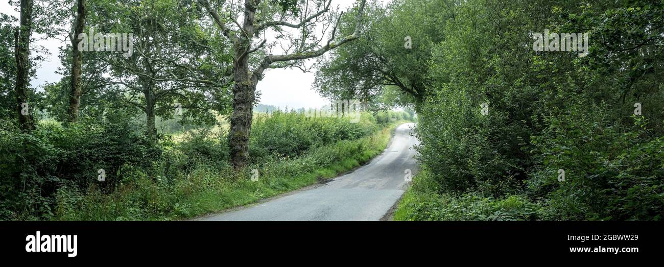 Summer countryside road in South Downs, UK Stock Photo - Alamy