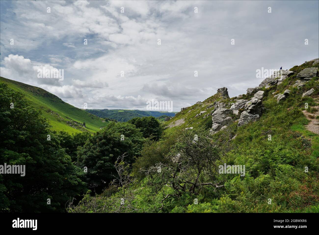 North devon at linton hi-res stock photography and images - Alamy