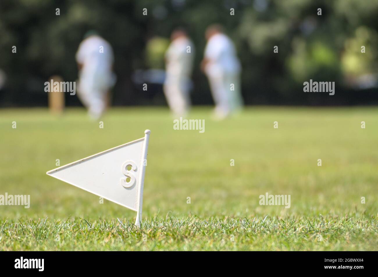 Boundary cricket cricketers hi-res stock photography and images - Alamy