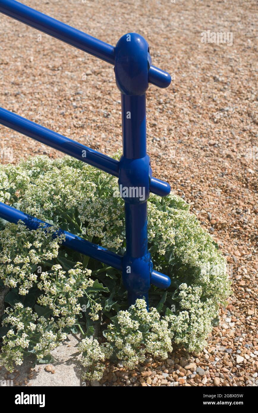 Smart railing on the beach hi-res stock photography and images - Alamy