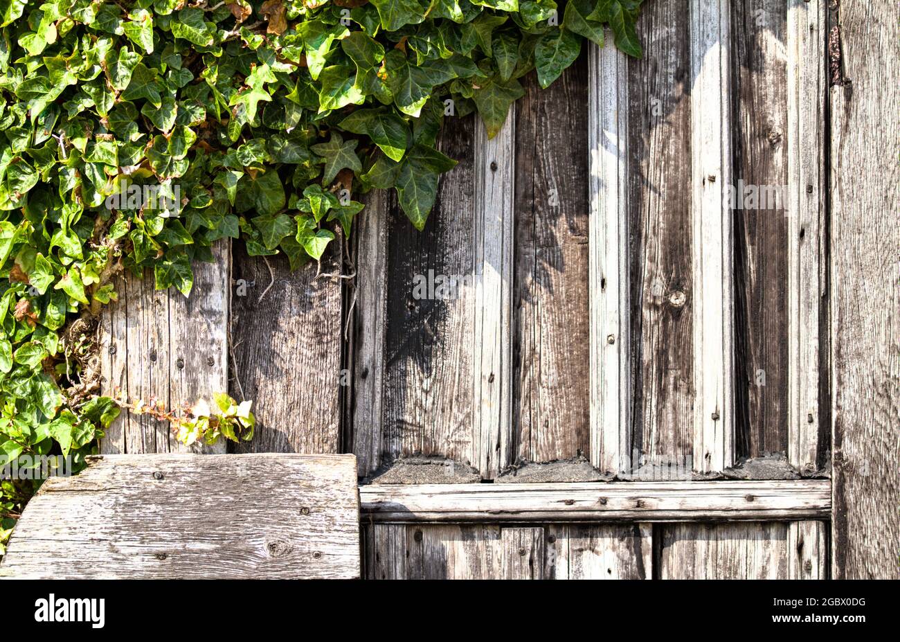 Growing shed hi-res stock photography and images - Alamy