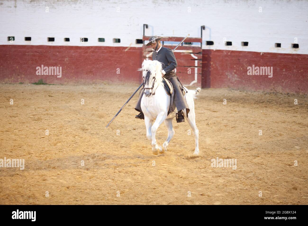 Garrocha pole horse riding hi-res stock photography and images - Alamy