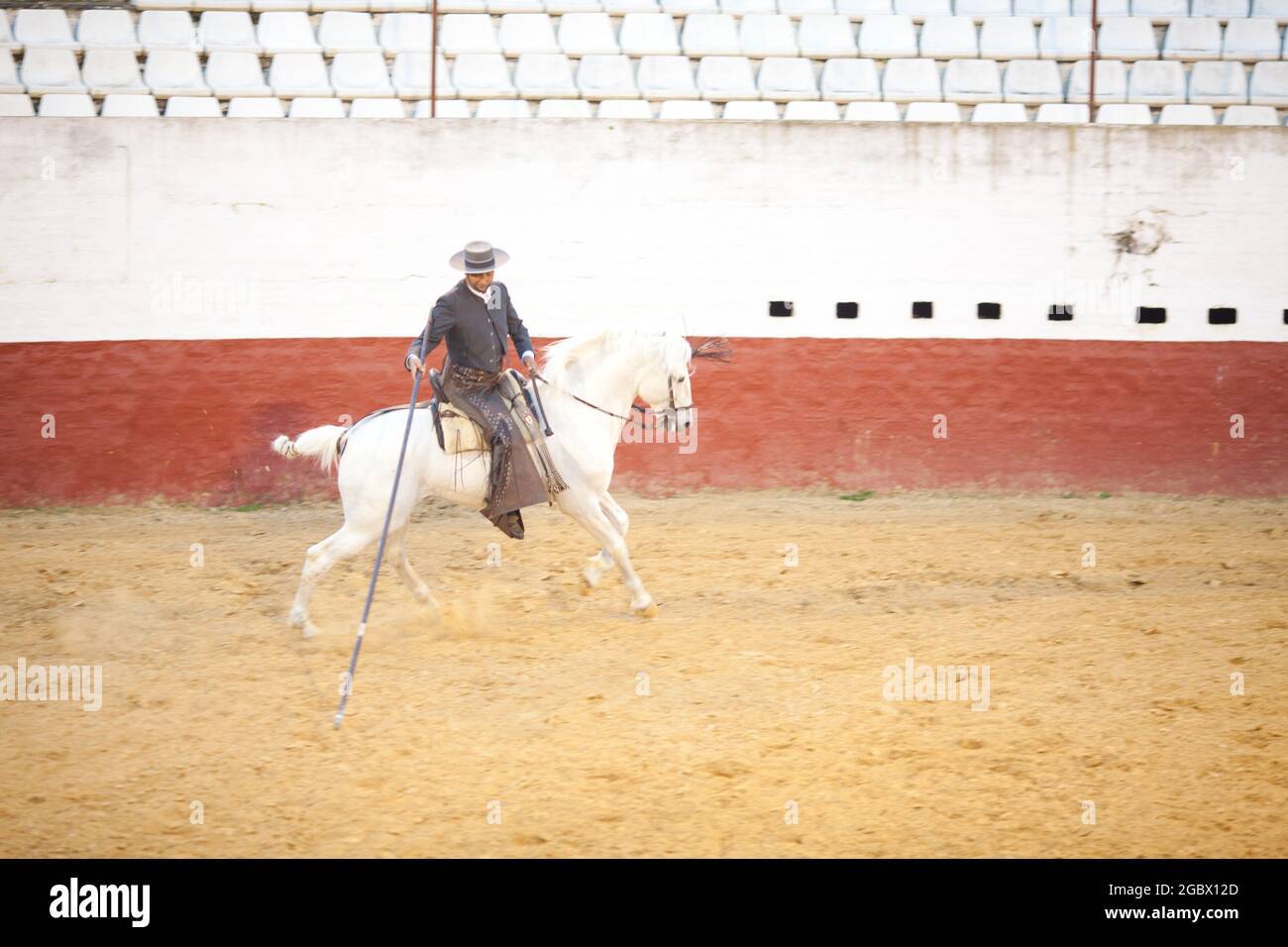 Garrocha pole horse riding hi-res stock photography and images - Alamy