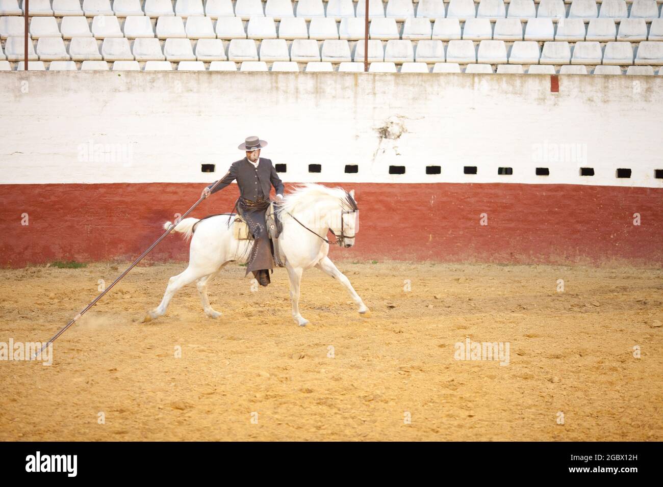 Garrocha pole horse riding in Spain near Sevilla in a farm Stock Photo ...