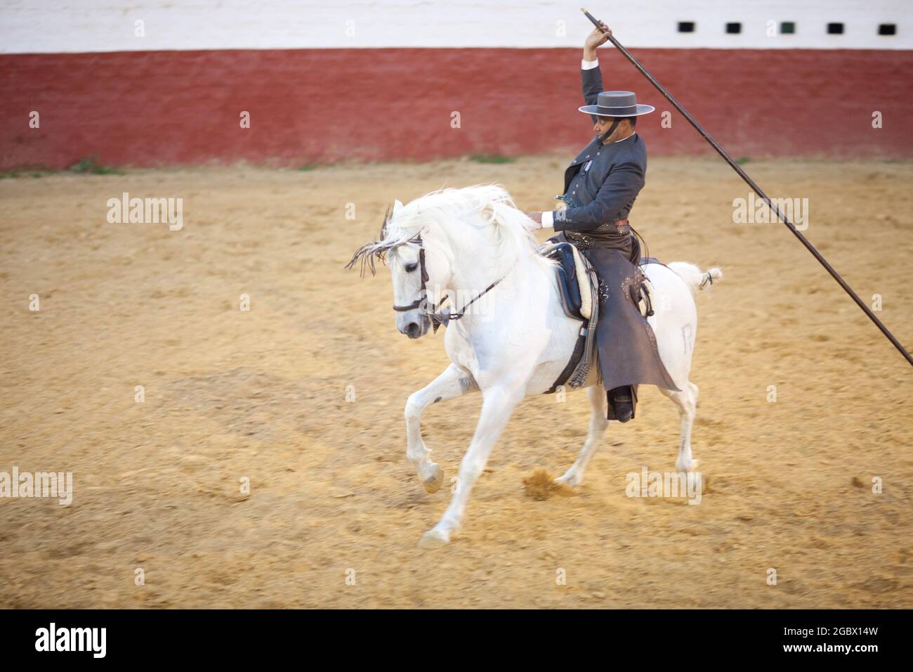 Garrocha pole horse riding hi-res stock photography and images - Alamy