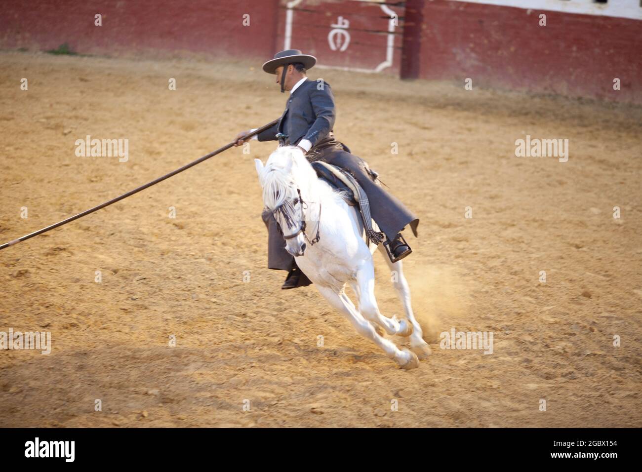 Garrocha pole horse riding hi-res stock photography and images - Alamy
