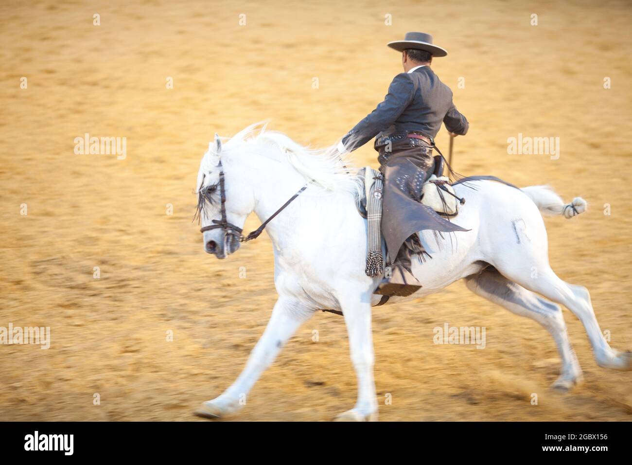 Garrocha pole horse riding hi-res stock photography and images - Alamy