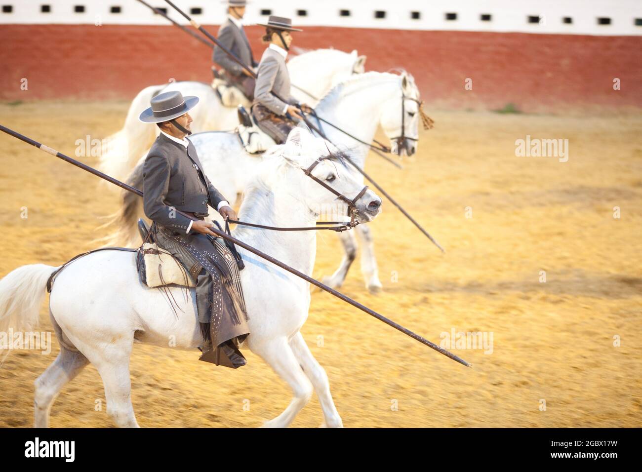 Garrocha pole horse riding hi-res stock photography and images - Alamy