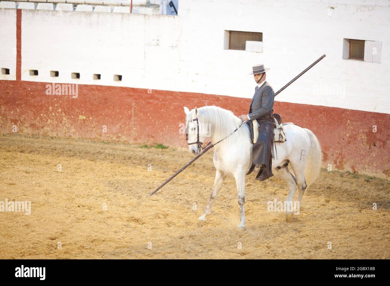 Garrocha pole horse riding hi-res stock photography and images - Alamy