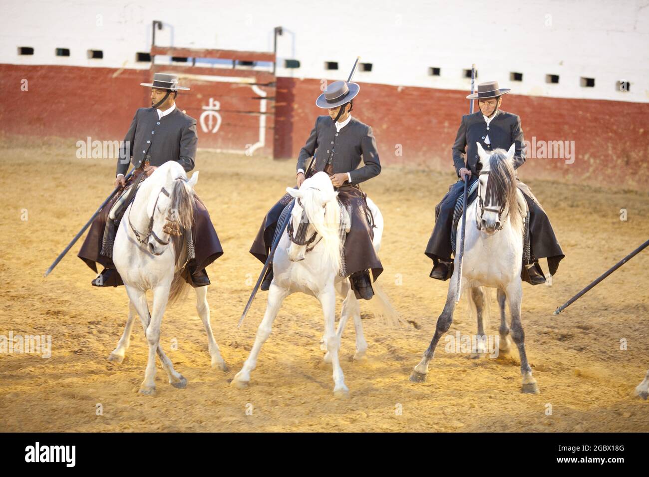 Garrocha pole horse riding hi-res stock photography and images - Alamy