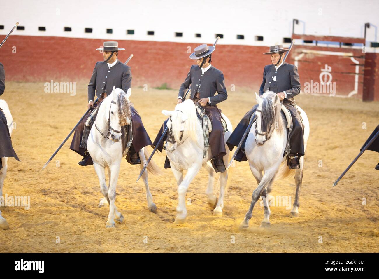 Garrocha pole horse riding hi-res stock photography and images - Alamy