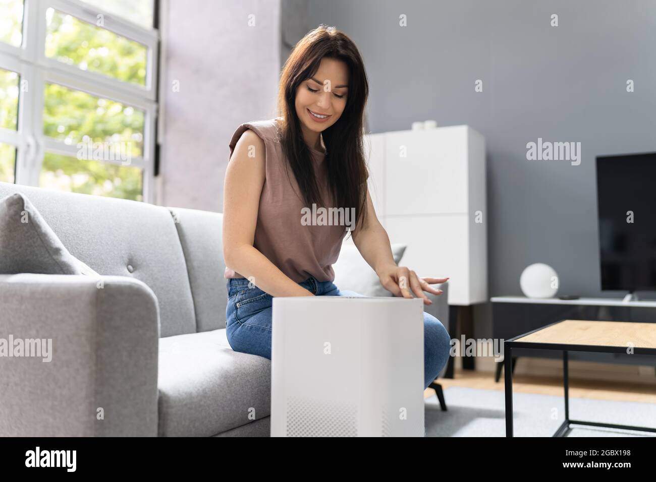 Woman In Living Room Using Air Cleaner And Humidifier Stock Photo - Alamy