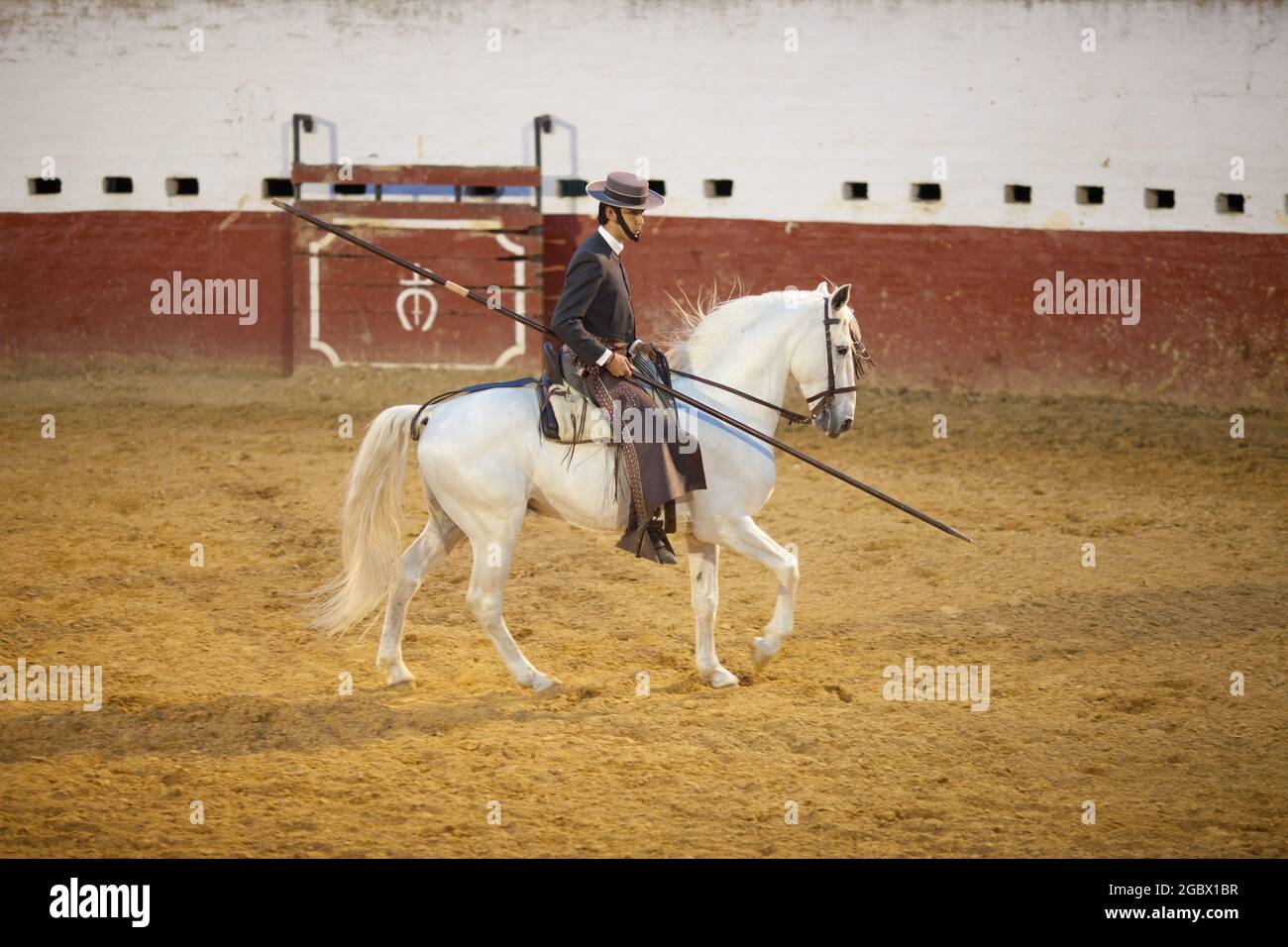 Garrocha pole horse riding hi-res stock photography and images - Alamy