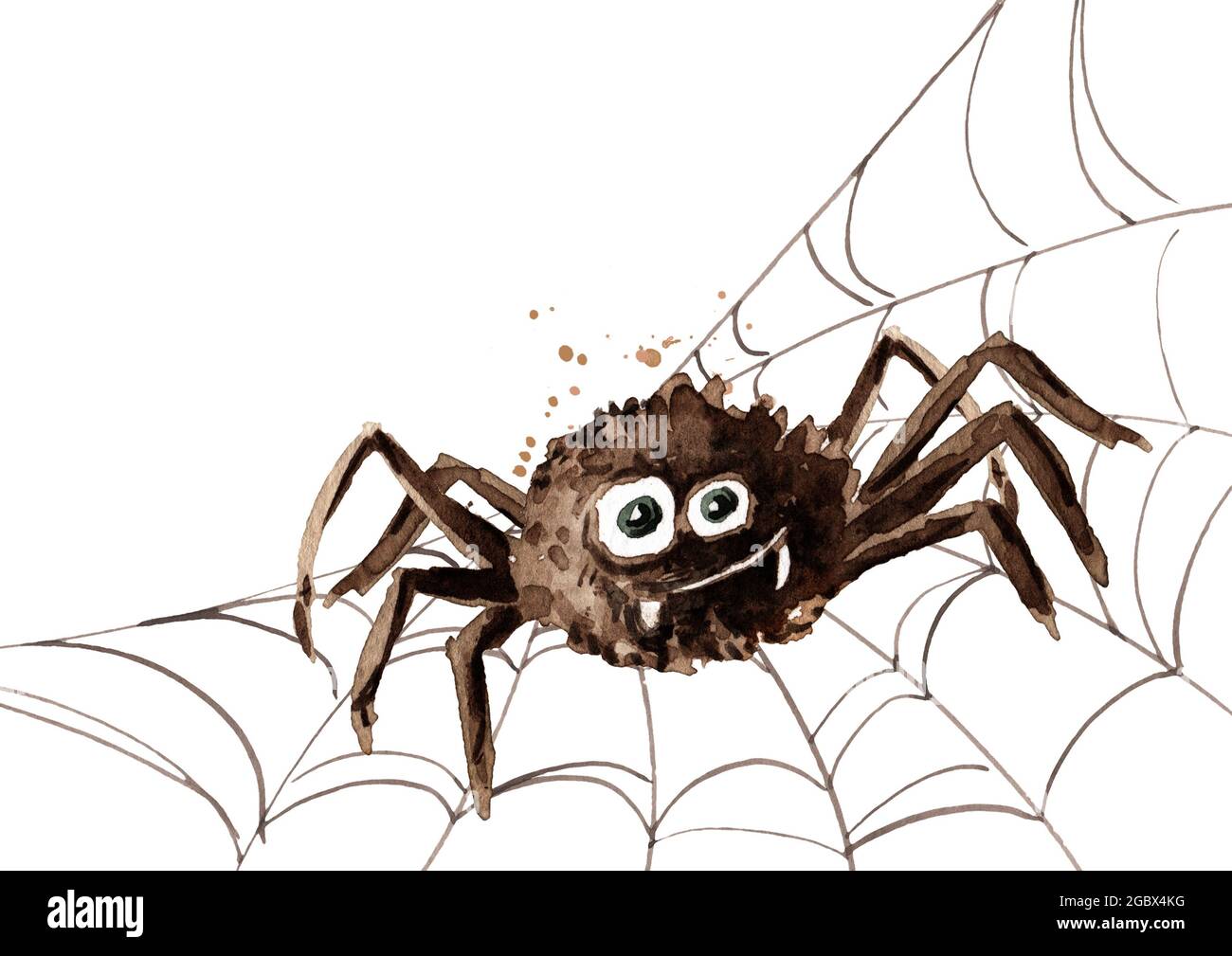Spider on a web. Hand drawn watercolor illustration, isolated on white ...