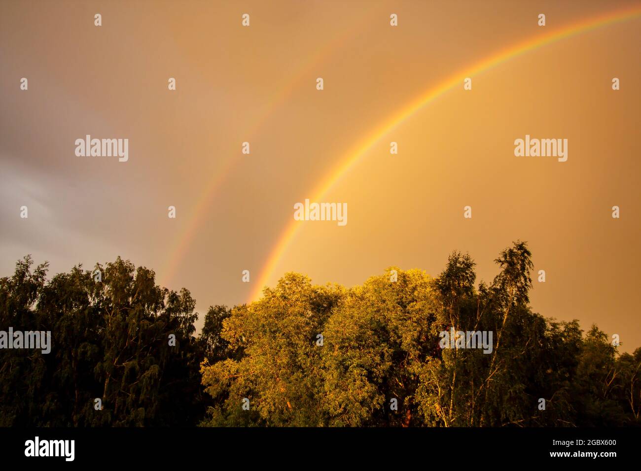 Double rainbow after a heavy summer rain in a Siberian forest Stock ...