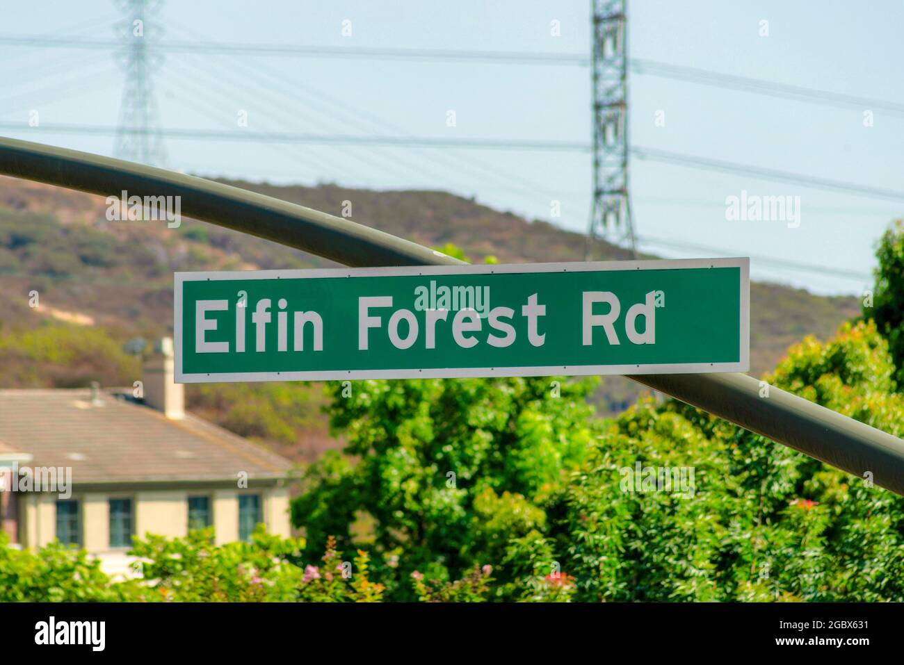 Elfin tree hi-res stock photography and images - Alamy