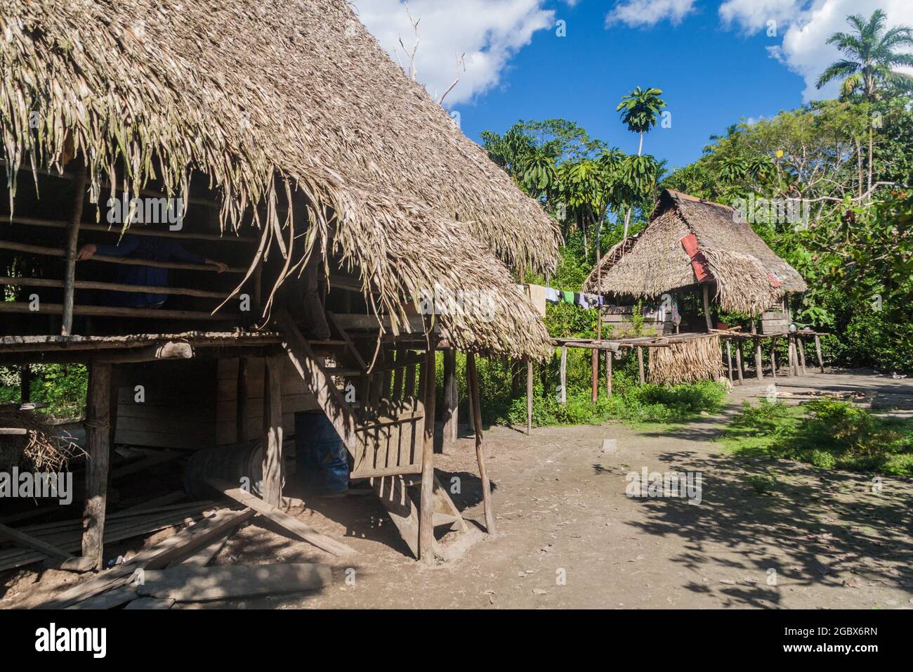 Traditional houses in peruvian jungle Stock Photo - Alamy