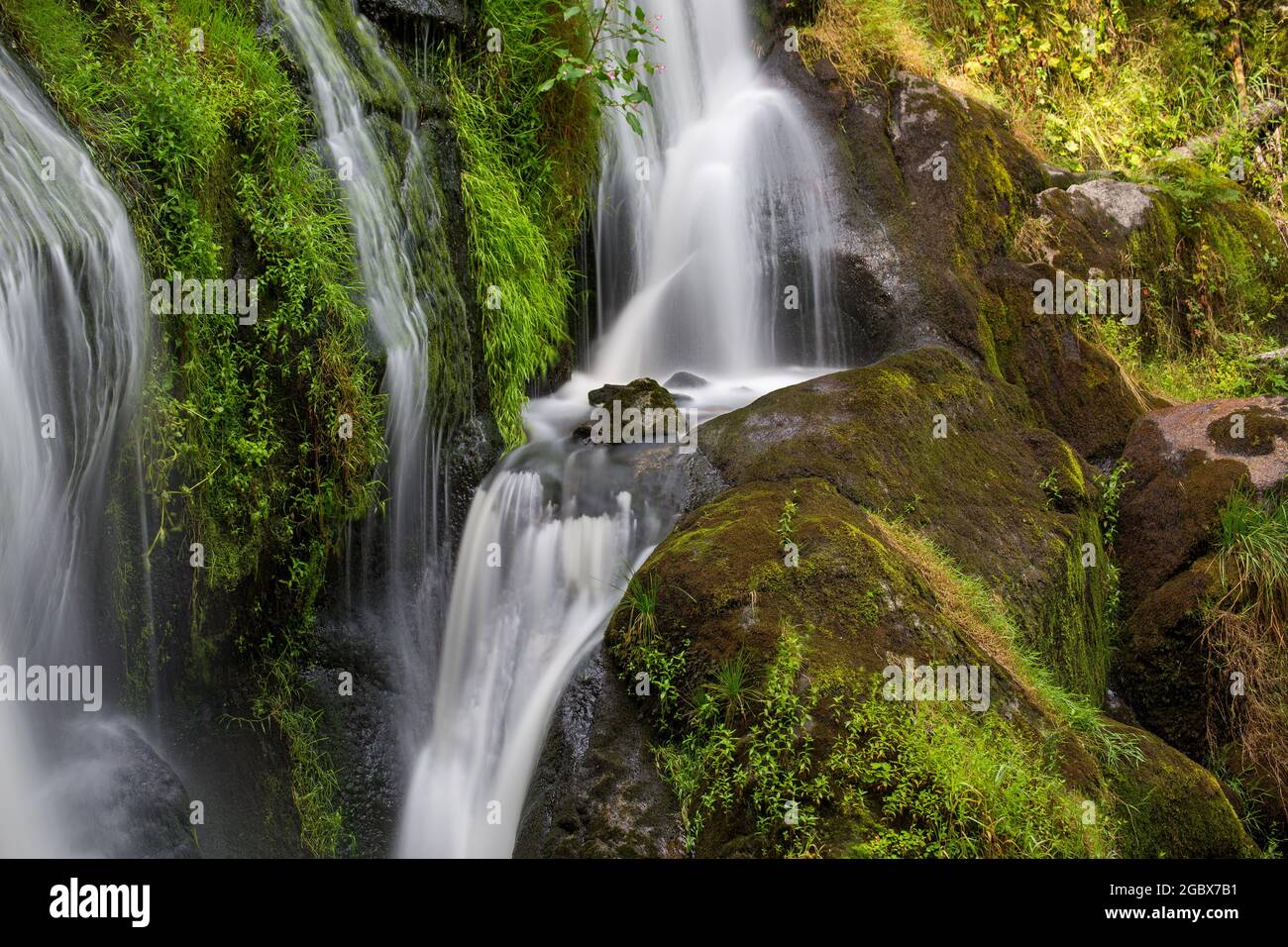 Triberger wasserfälle hi-res stock photography and images - Alamy
