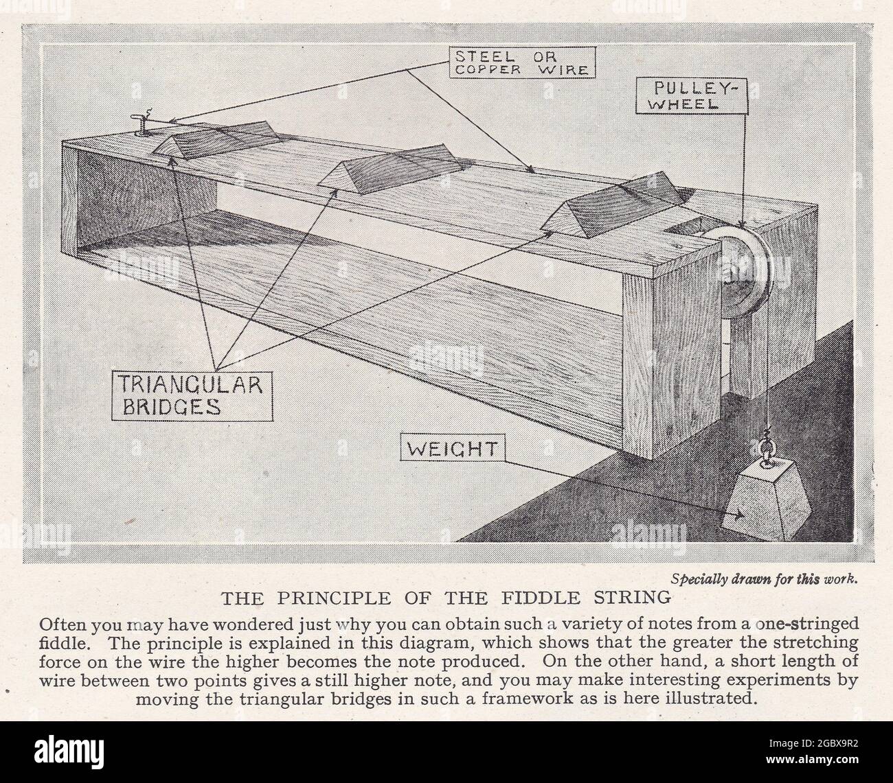 Vintage illustration / diagram of The Principle of the Fiddle String ...