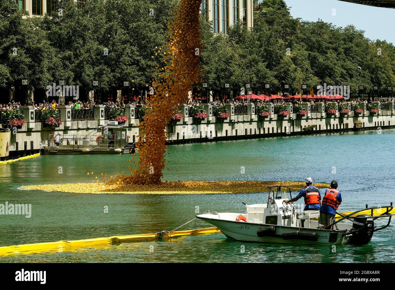 Chicago ducky derby special hi-res stock photography and images - Alamy