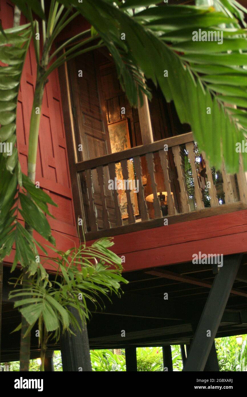 Teak trees not tree hi-res stock photography and images - Alamy