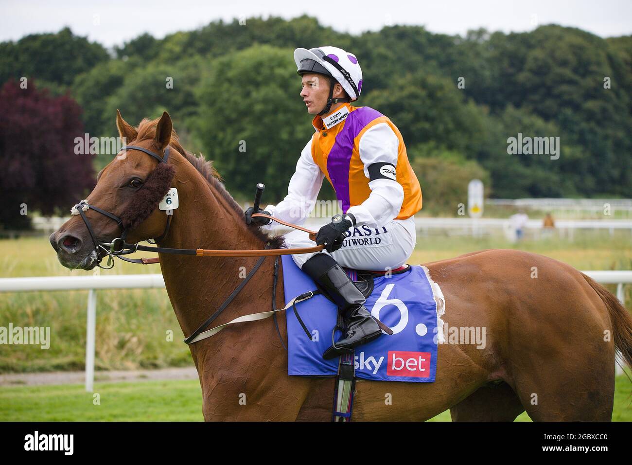 Jockey David Allen on Golden Apollo at York Racecourse Stock Photo - Alamy