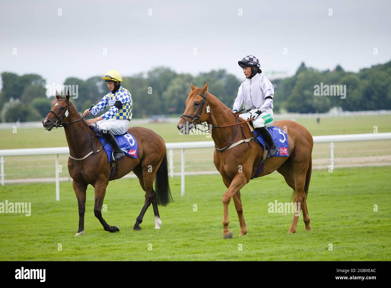 Jonathan England on Nibras Again and Bryony Frost on Ginger Jam riding ...