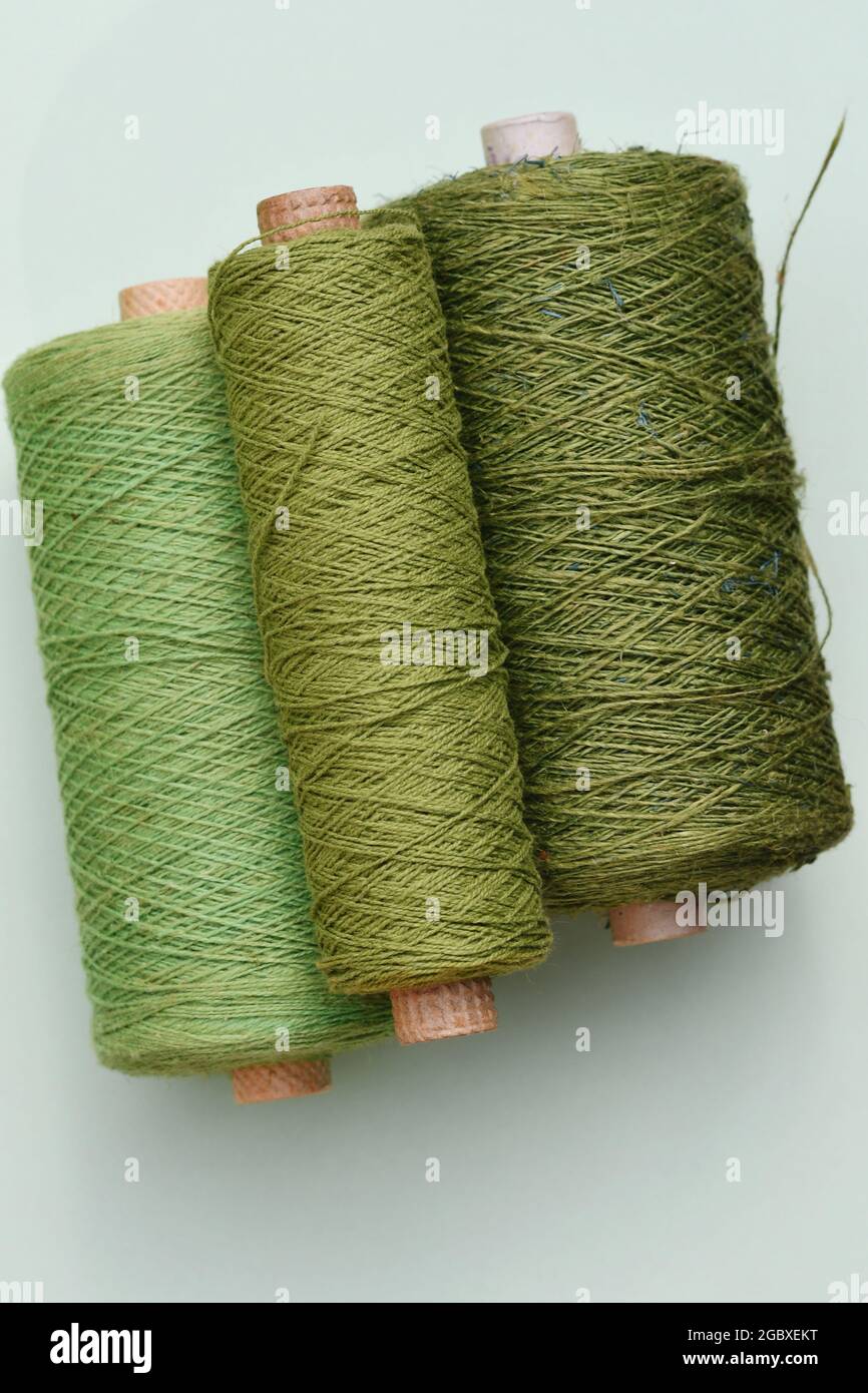 Photo of threads in different shades of green on bright background ...
