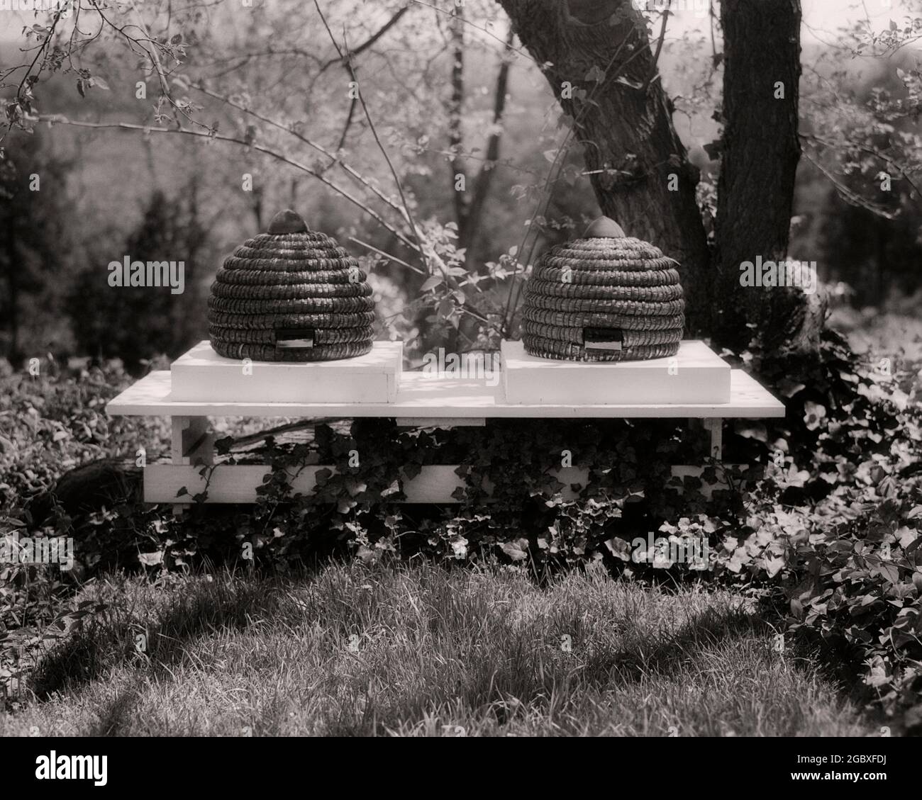 Bee skeps hi-res stock photography and images - Alamy