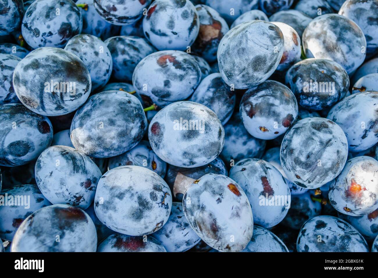 Sugar plum background hi-res stock photography and images - Alamy