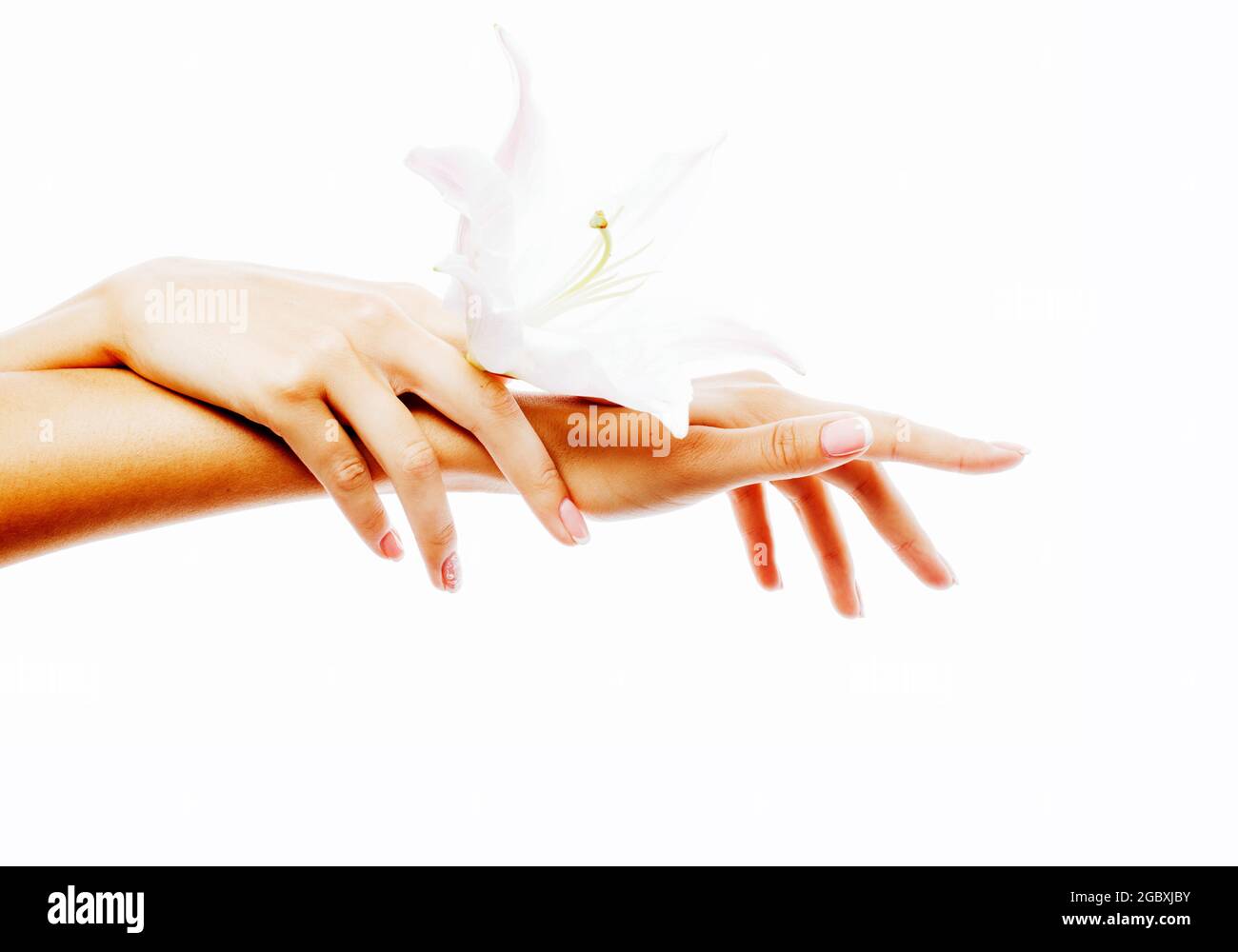 beauty delicate hands with manicure holding flower lily close up ...