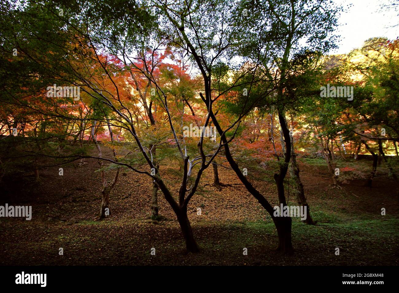Roadside background hi-res stock photography and images - Alamy