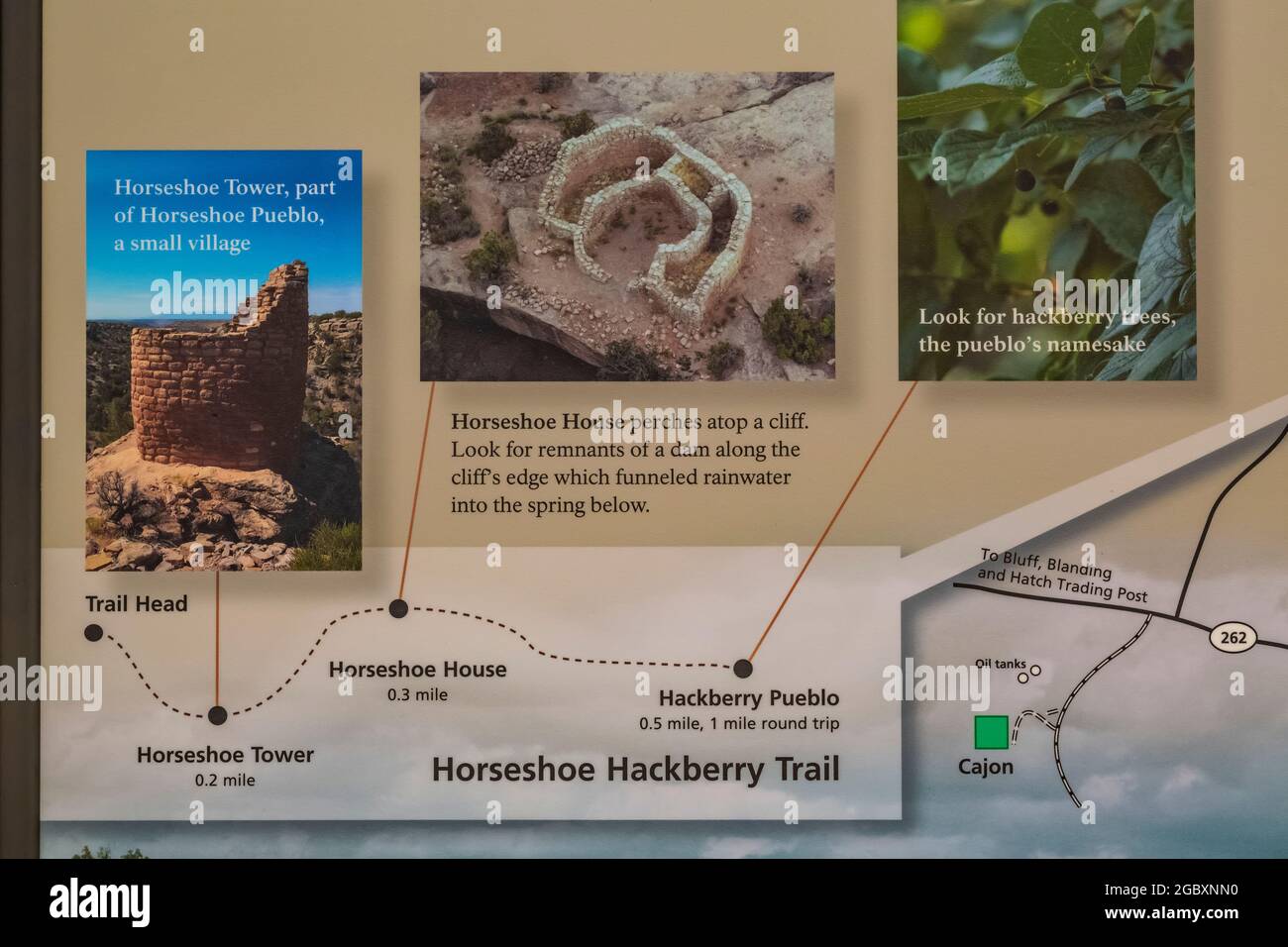 Directlion hi-res stock photography and images - Alamy