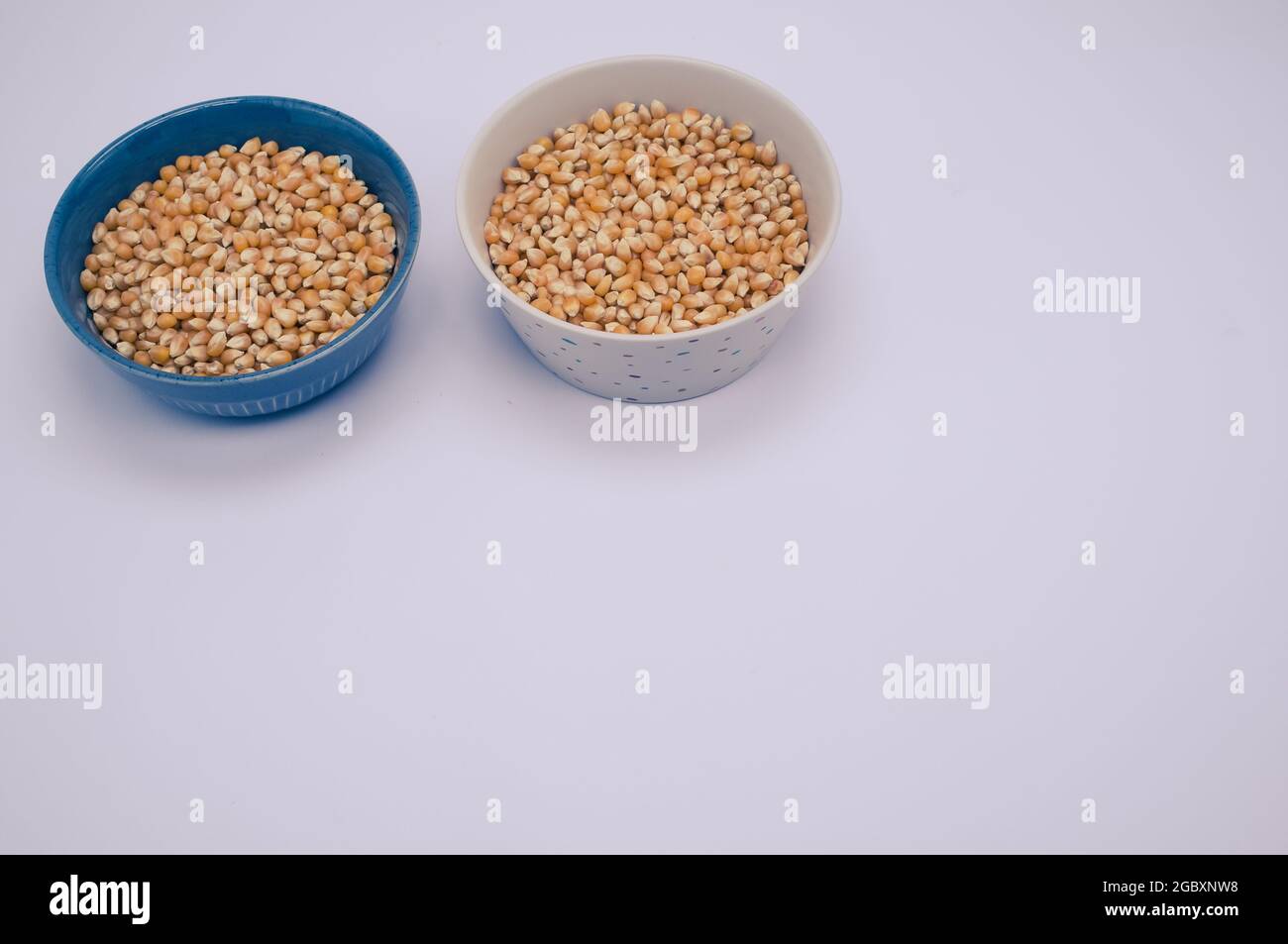 High angle of corn grains on bowl isolated on a light gray background ...