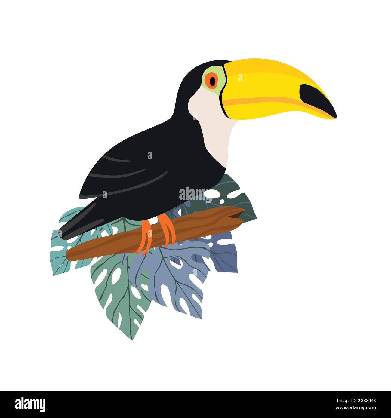 Cute Cartoon Toucan