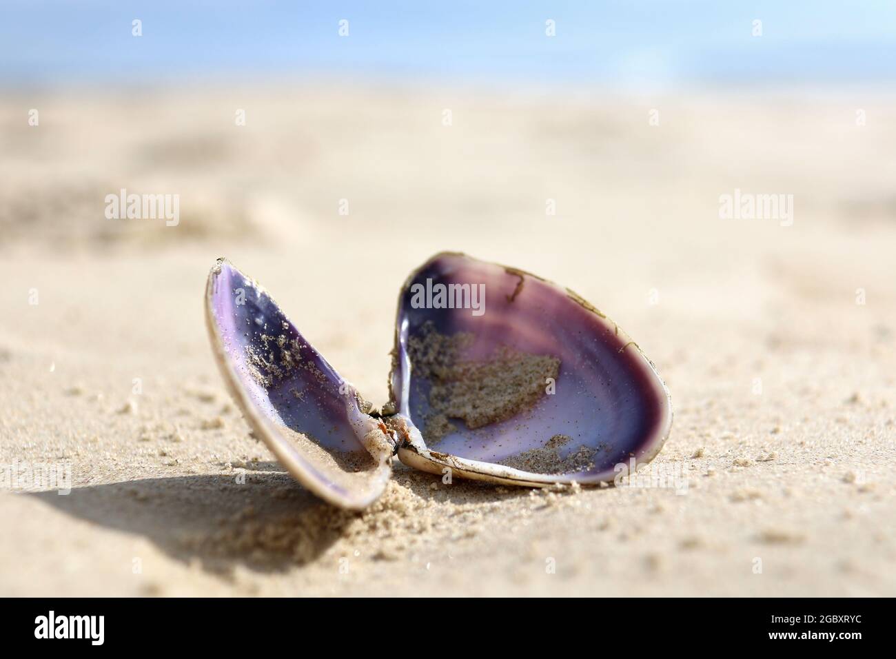 Evan's head australia hi-res stock photography and images - Alamy