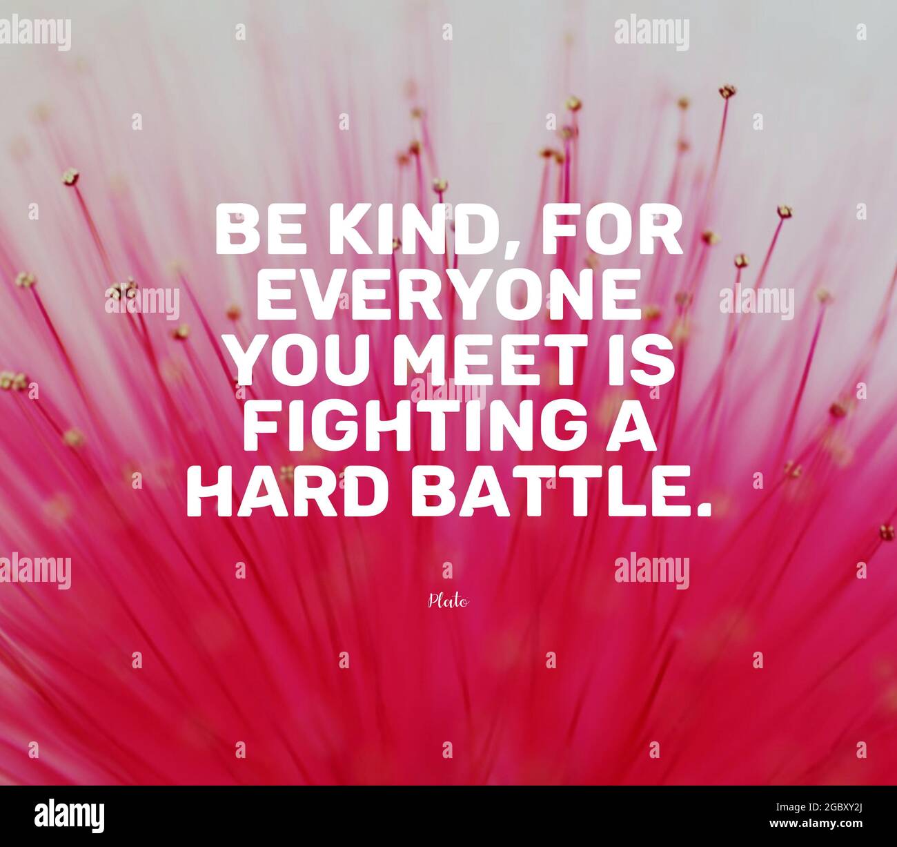 Quote by Plato. Be kind, for everyone you meet is fightning a hard ...