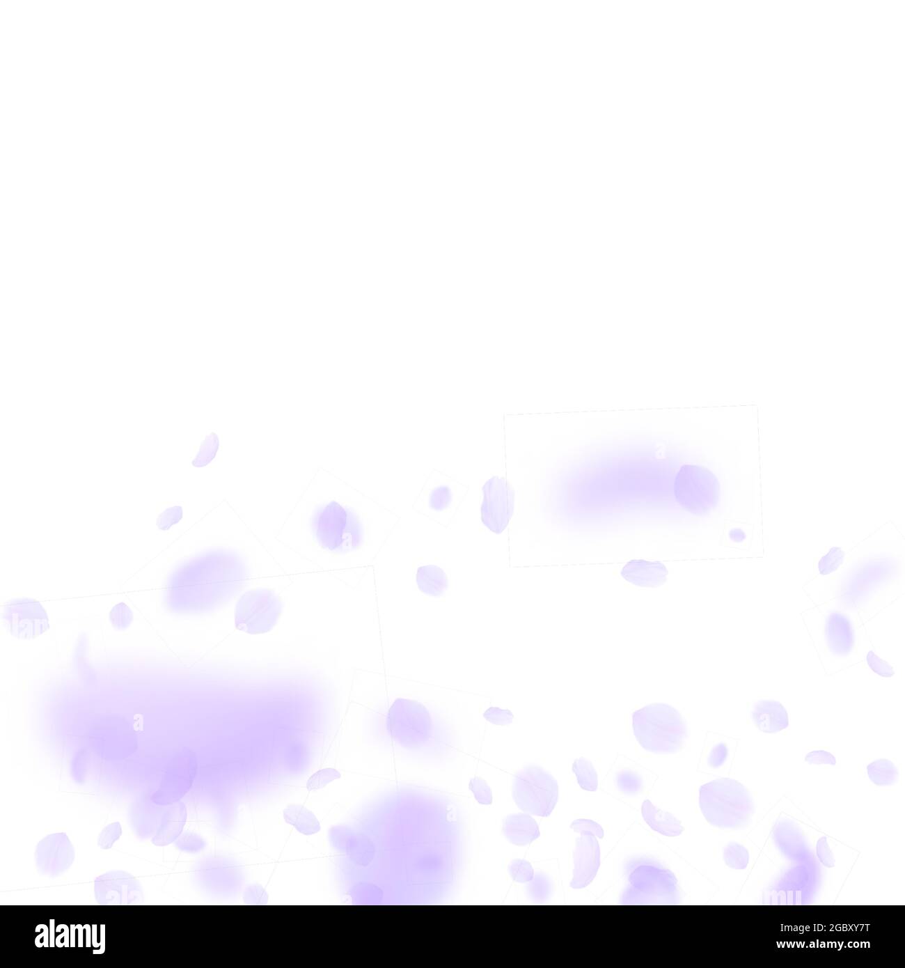 Violet flower petals falling down. Bizarre romantic flowers gradient ...