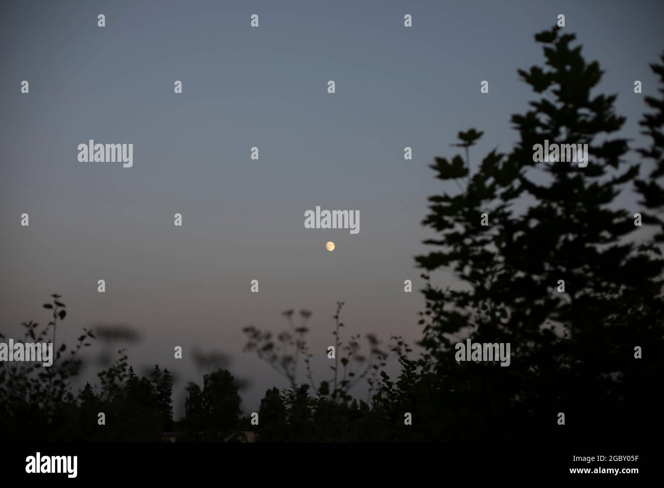 Small moon in the sky. Evening landscape outside the city. The heavenly ...