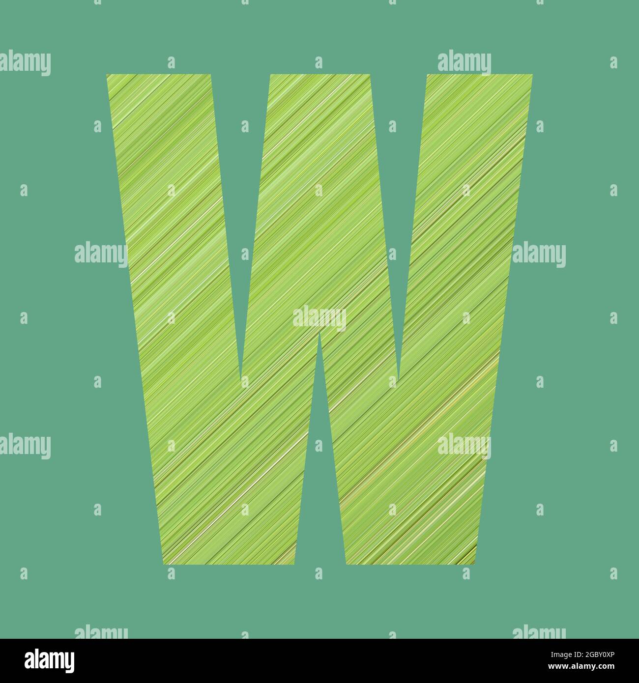 Alphabet letters of shape W in green pattern style on pastel green ...