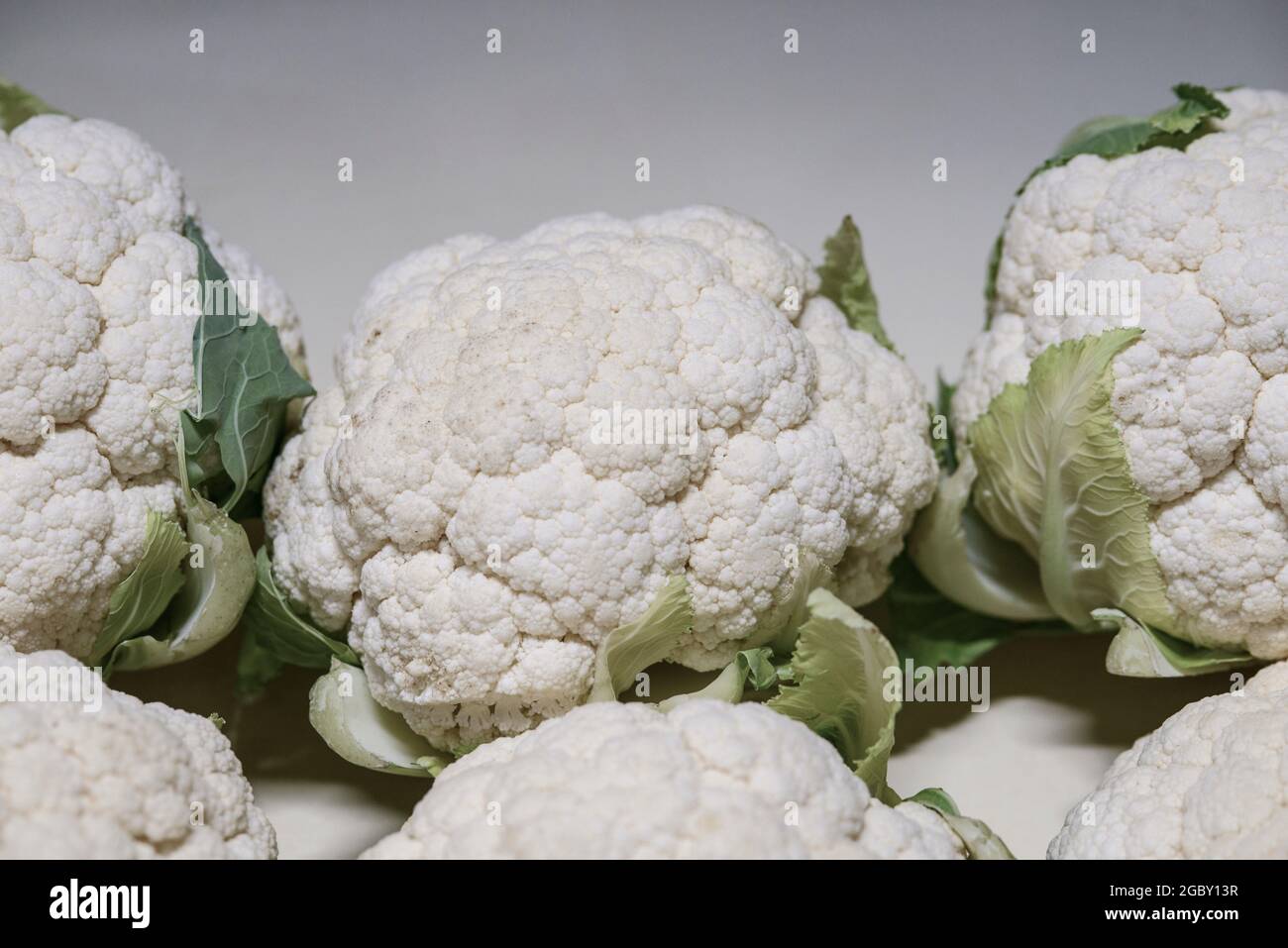 Garden vegetable texas hi-res stock photography and images - Alamy