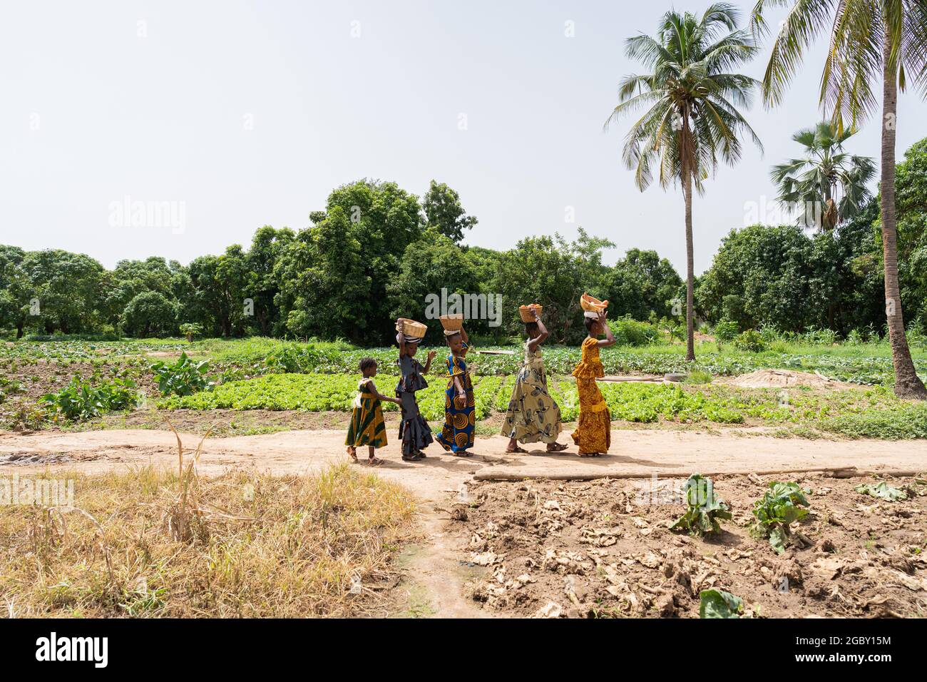 In this image, a row of young black African girls in coloourful dresses ...