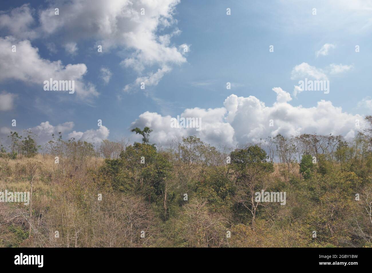 The Landscape of the mountain in the daytime for design in your work ...