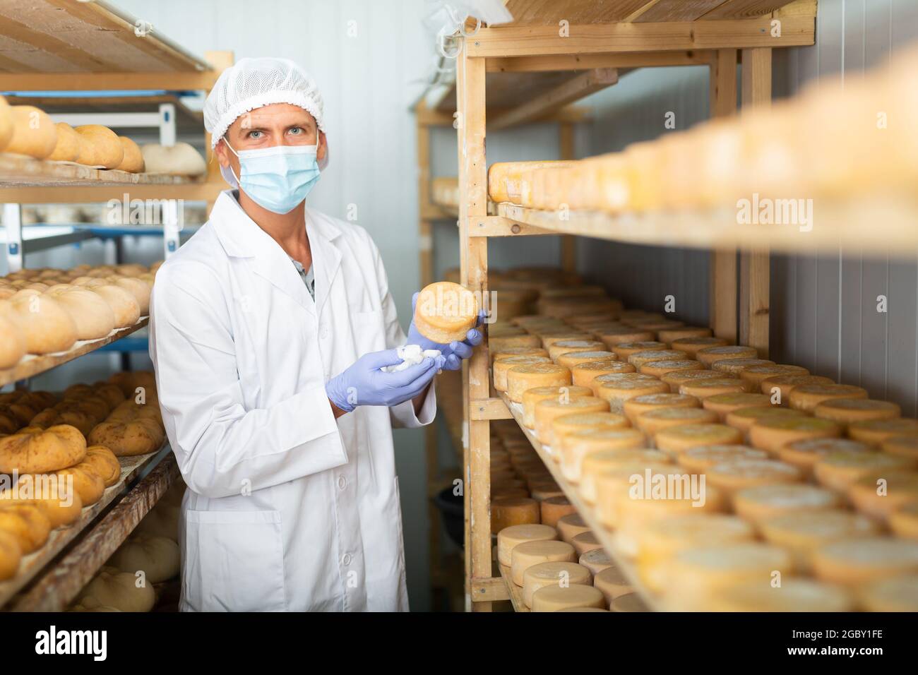 Cheesemaker in mask examining quality of cheese in ripening room Stock ...