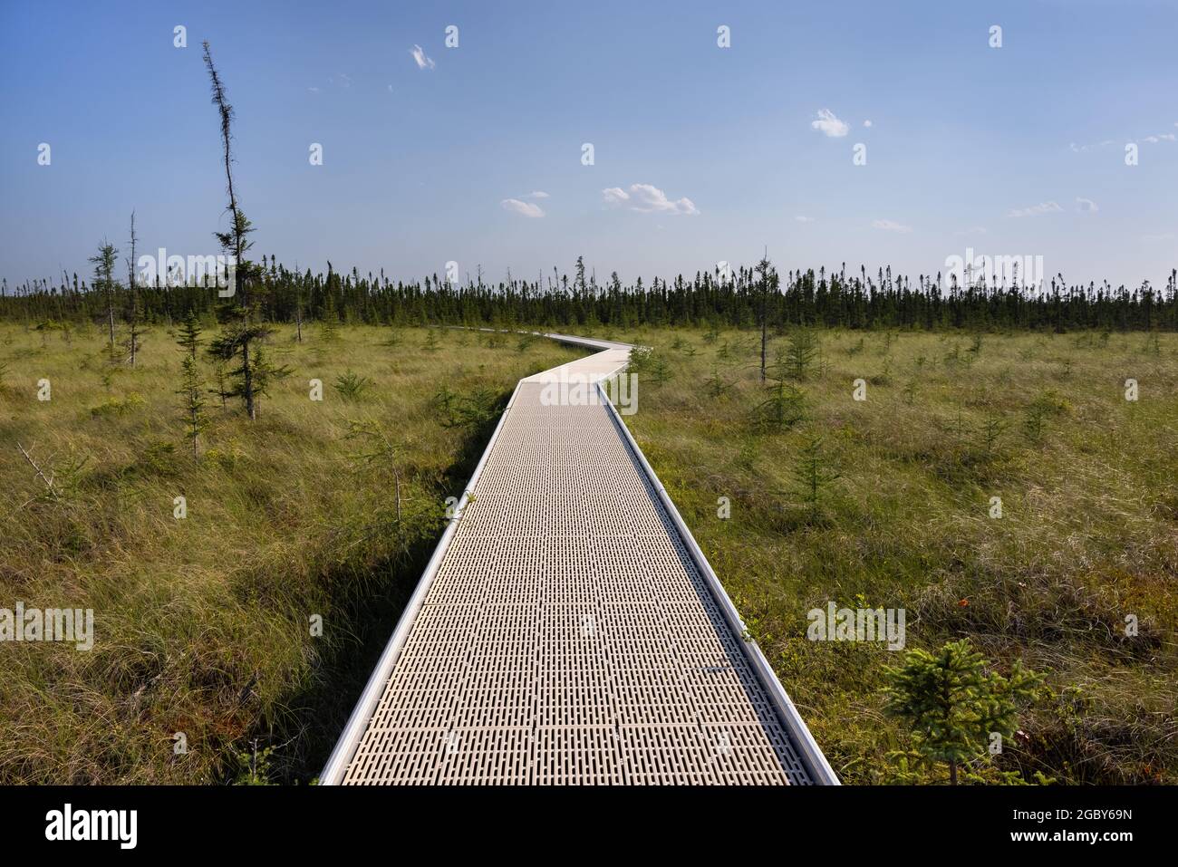 Boardwalk Hiking Trail In A Bog Stock Photo - Alamy