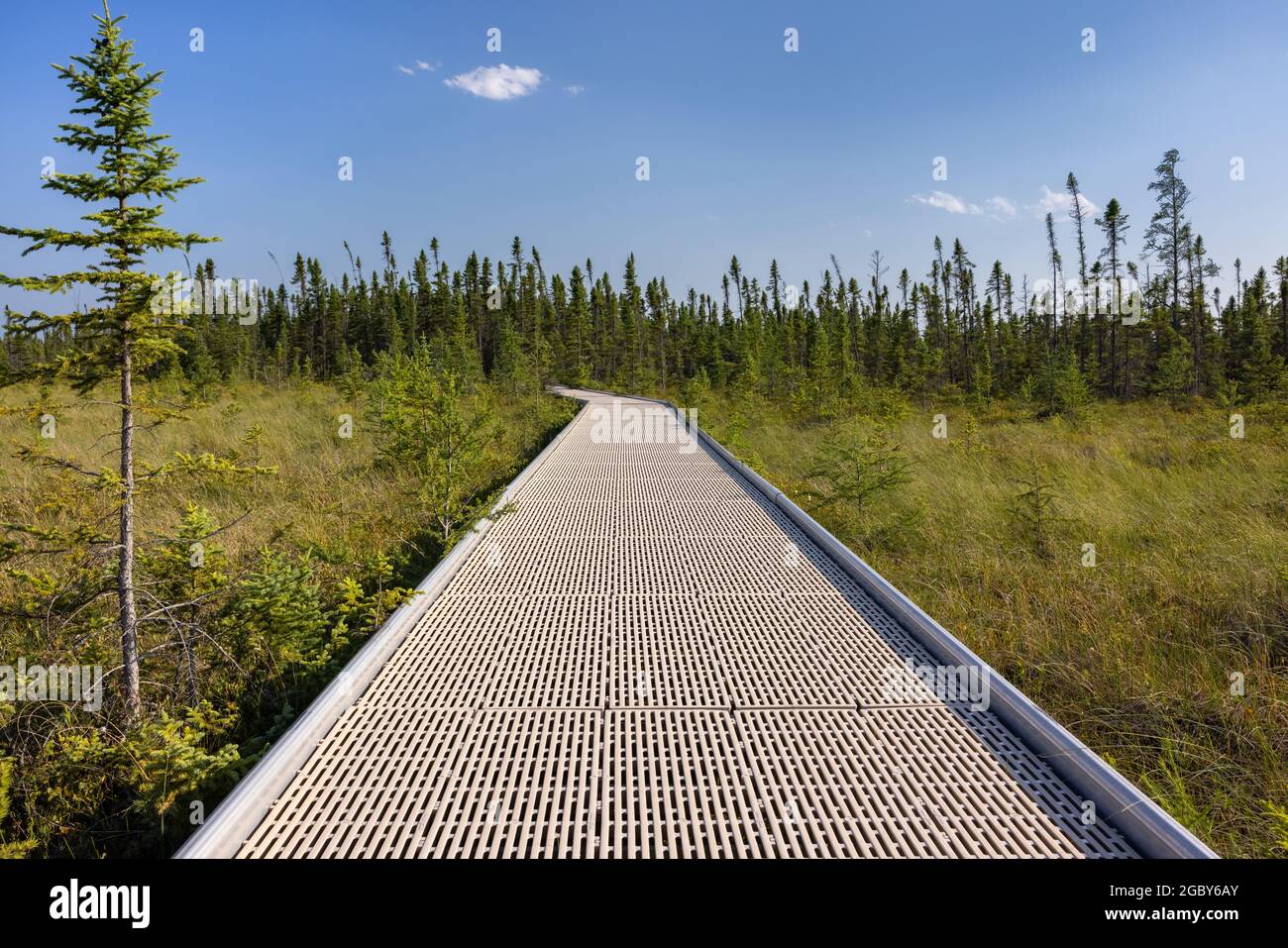 Bog trail hi-res stock photography and images - Alamy