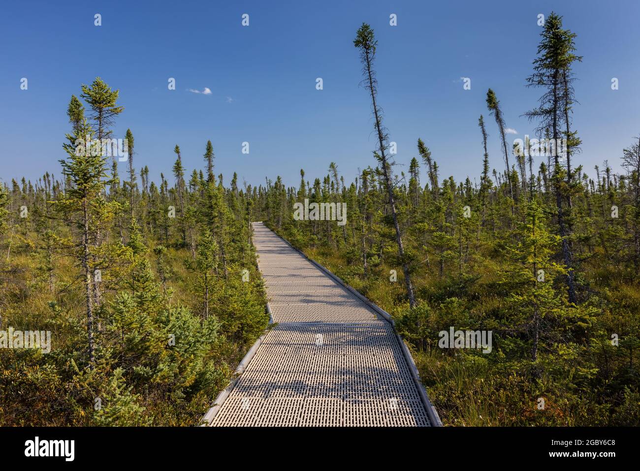 Bog boardwalk hi-res stock photography and images - Alamy
